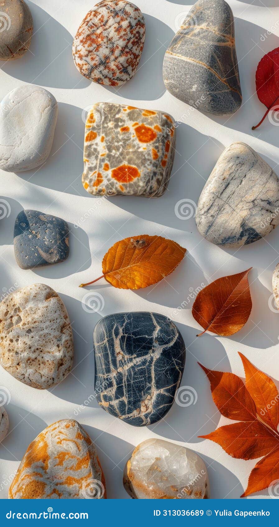 Assorted Rocks and Leaves on White Surface Stock Image - Image of white ...