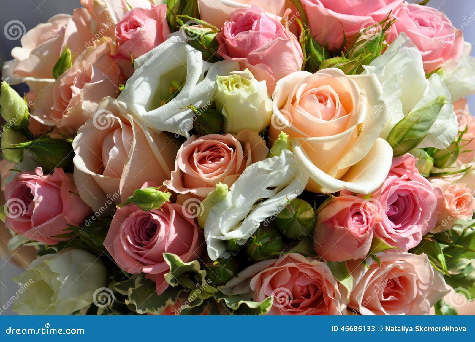 Assorted roses stock image. Image of romantic, roses - 45685133