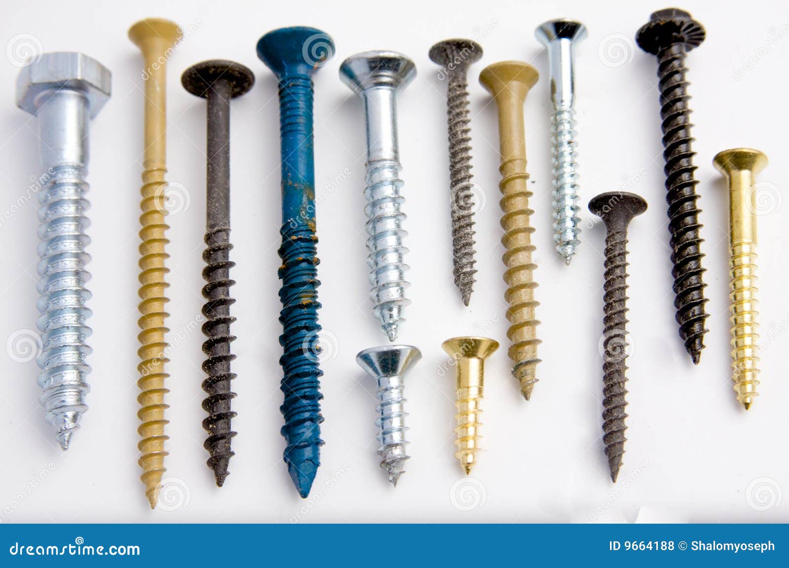 Assorted Screws stock photo. Image of horizontal, shiny - 9664188