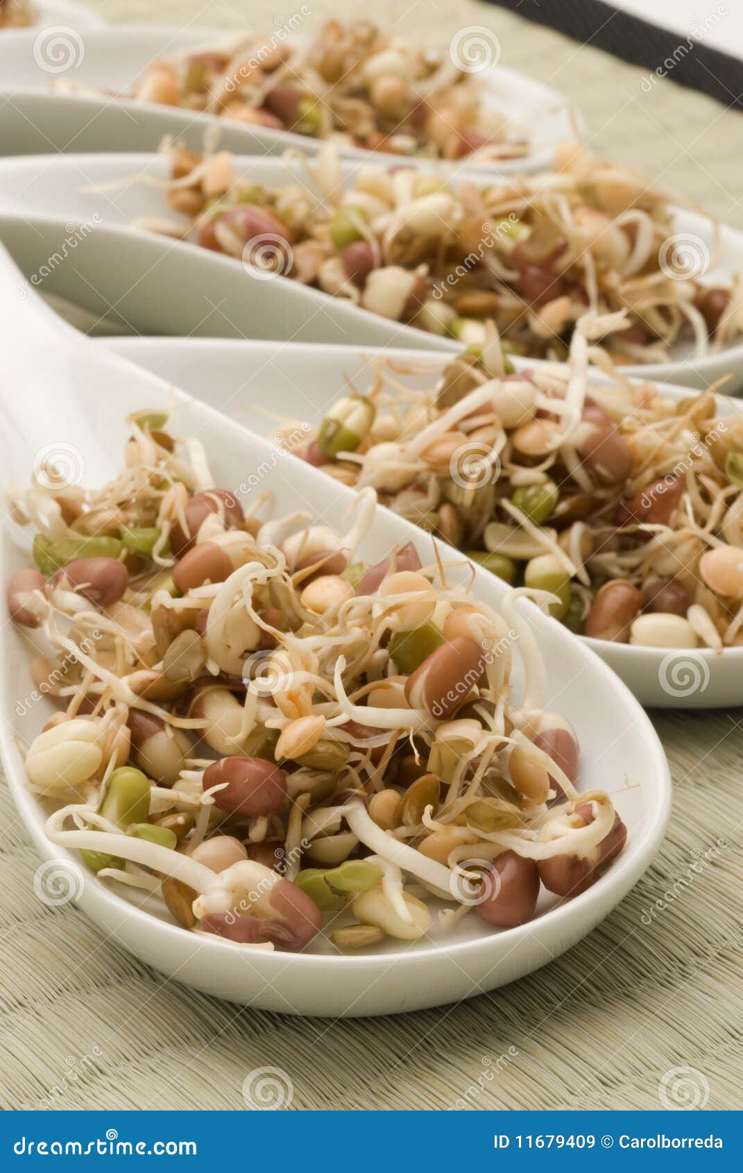 Assorted sprouts. stock image. Image of seeds, still - 11679409