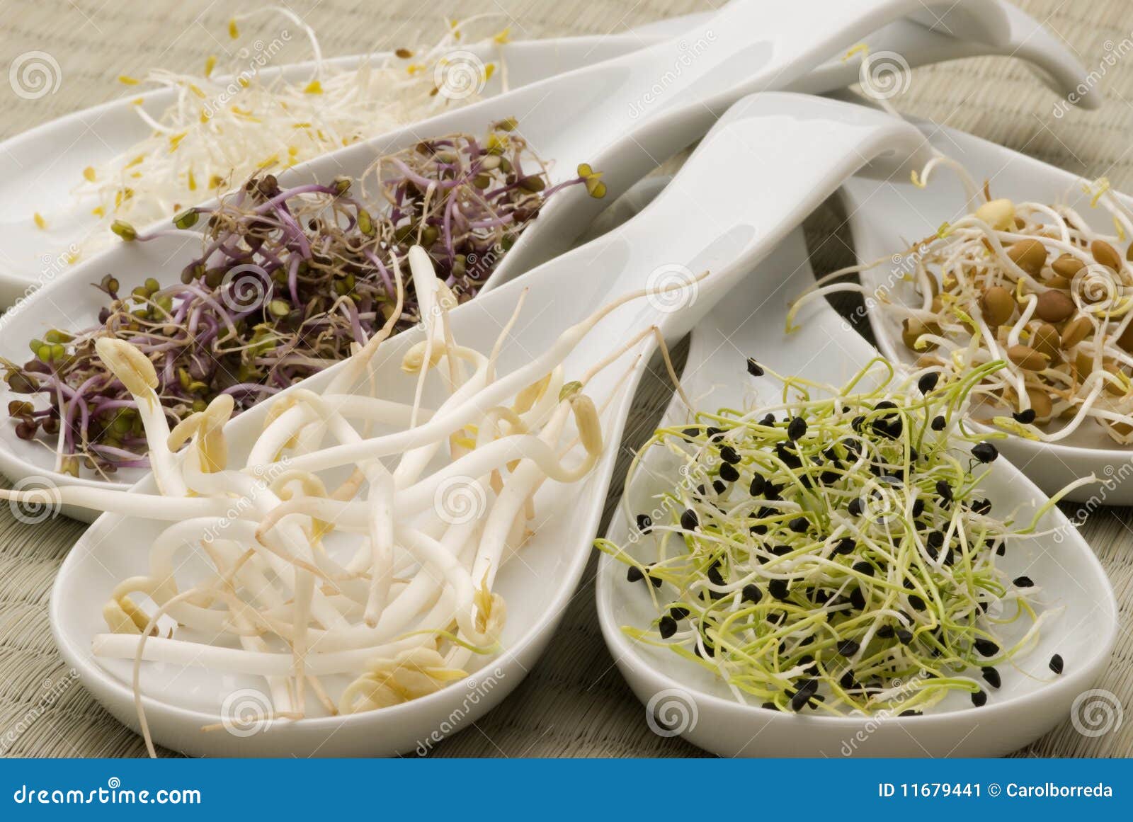 Assorted sprouts. stock image. Image of onion, focus - 11679441