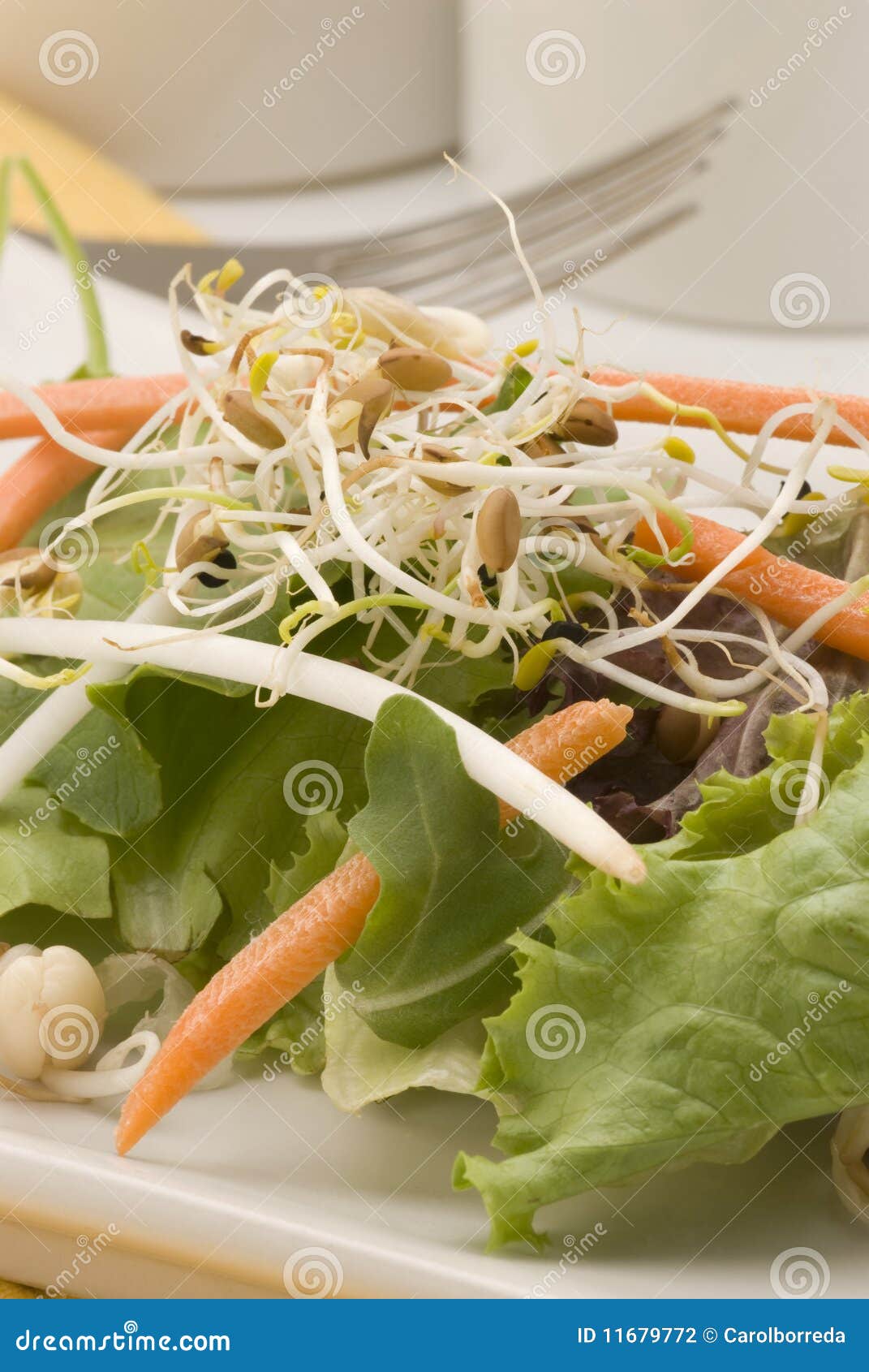 Assorted sprouts salad. stock photo. Image of seeds, indoors - 11679772