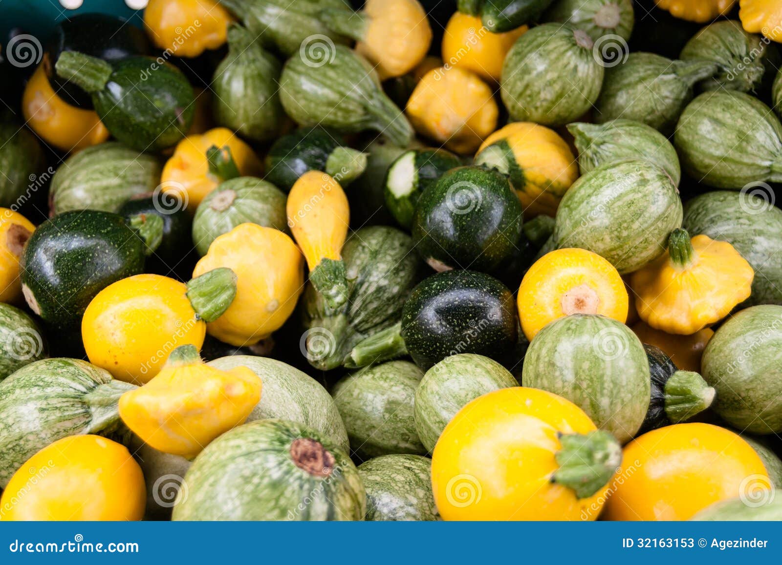 Assorted squash stock image. Image of cook, fruit, harvest - 32163153