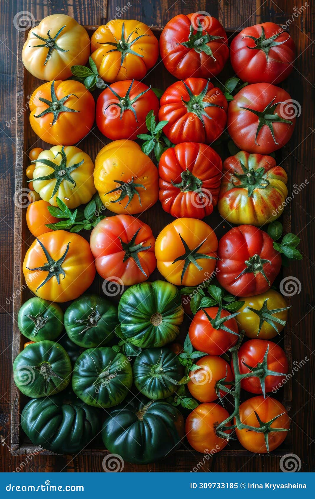 Assorted Tomatoes Displayed on Table Stock Image - Image of display ...