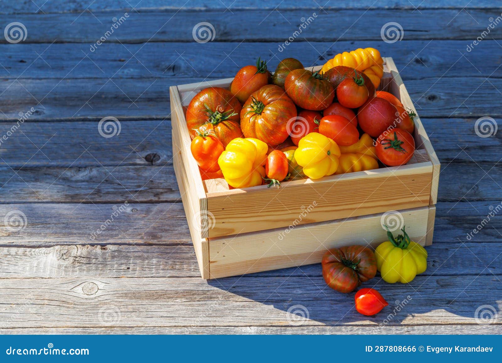 Assorted Tomatoes in Rustic Crate Stock Photo - Image of rustic ...