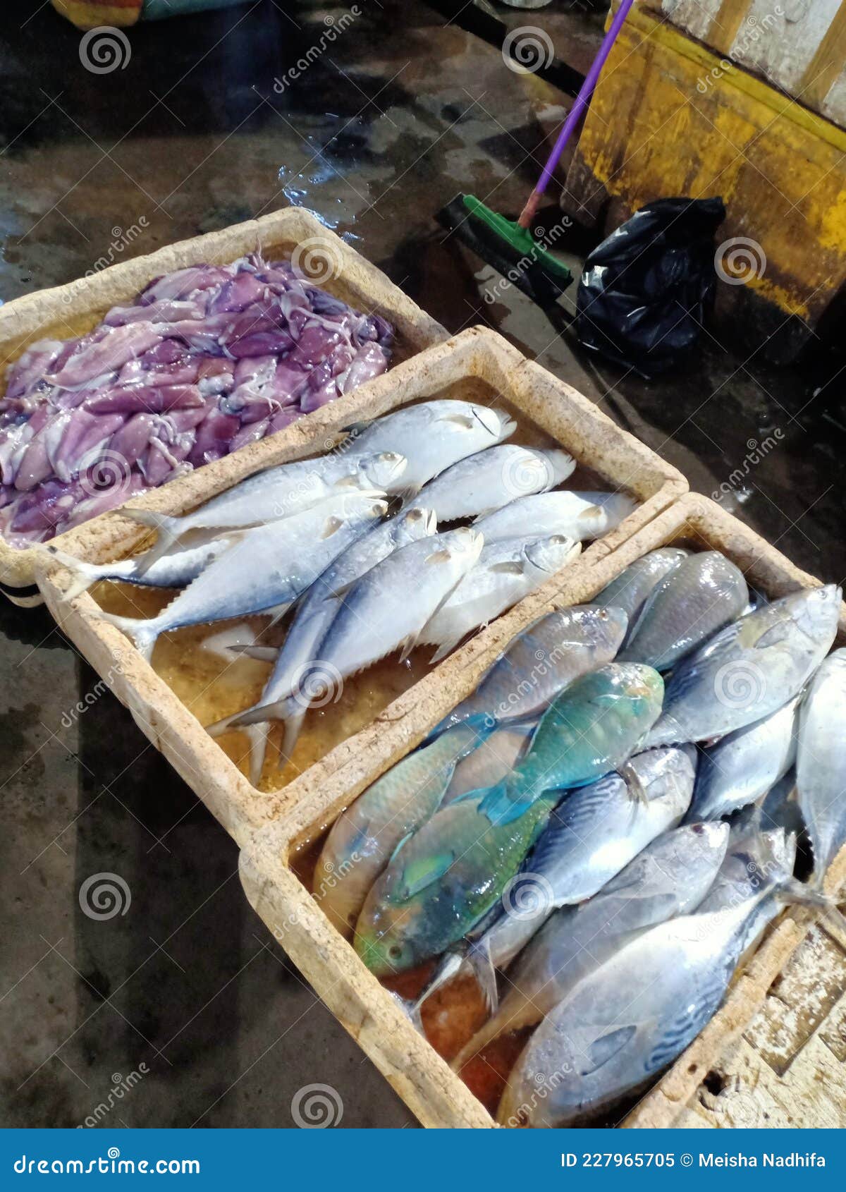 Assorted Types of Fresh Sea Fish Stock Image - Image of city, buyer ...