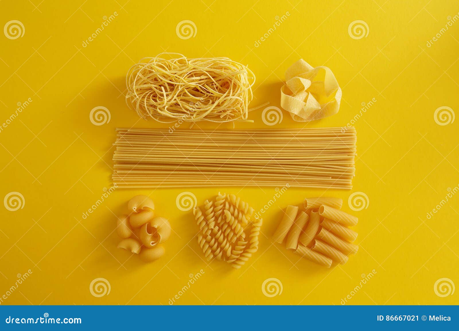 493 Various Life Forms Stock Photos - Free & Royalty-Free Stock Photos ...