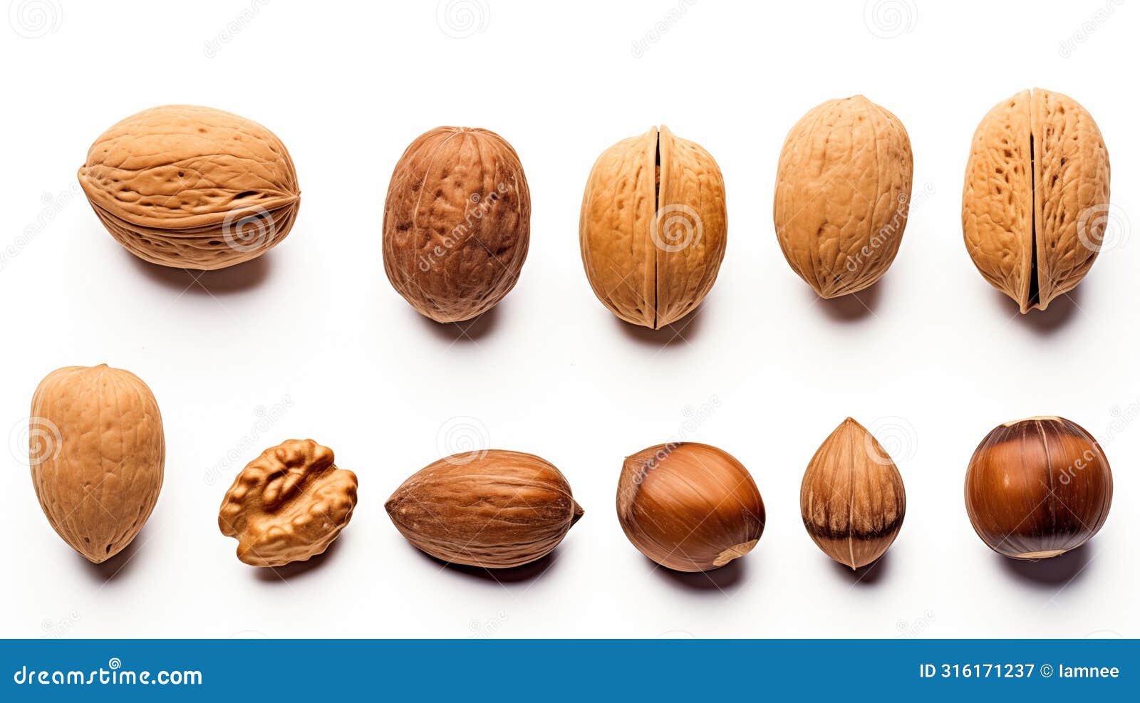 Various Types of Bean Seeds.AI Generated Stock Illustration ...