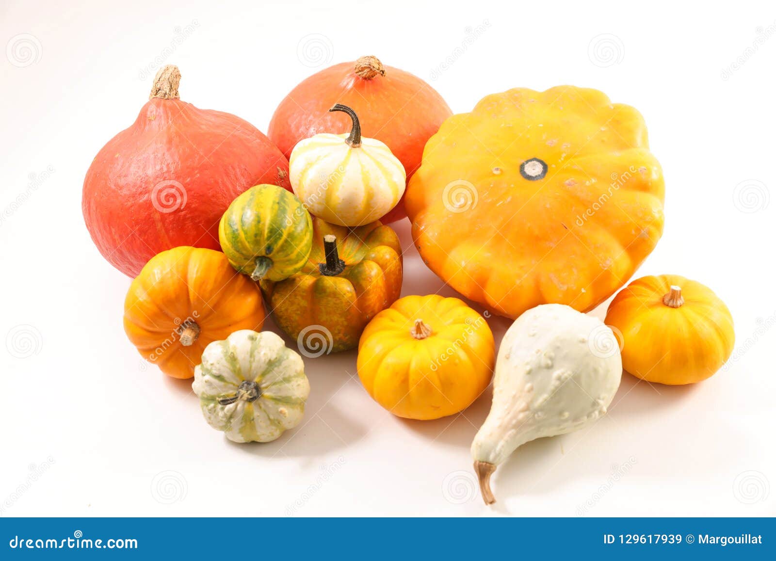 Assorted various pumpkin stock image. Image of pumpkin - 129617939