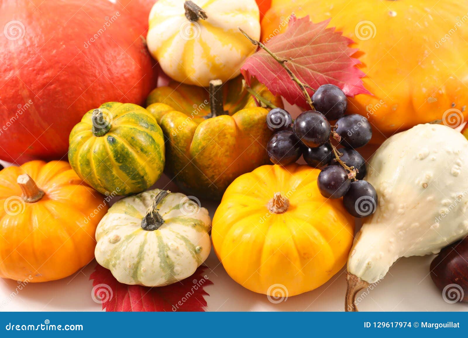 Assorted various pumpkin stock photo. Image of healthy - 129617974