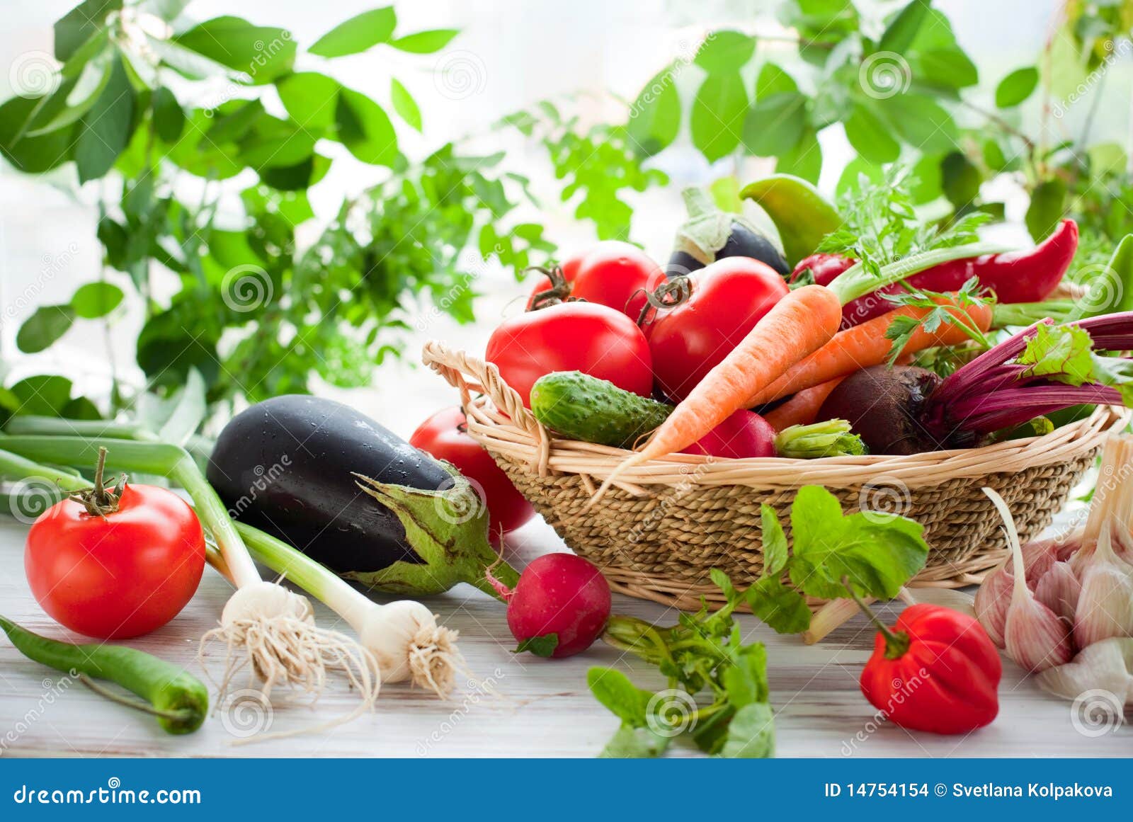 Assorted vegetables stock photo. Image of leaf, green - 14754154