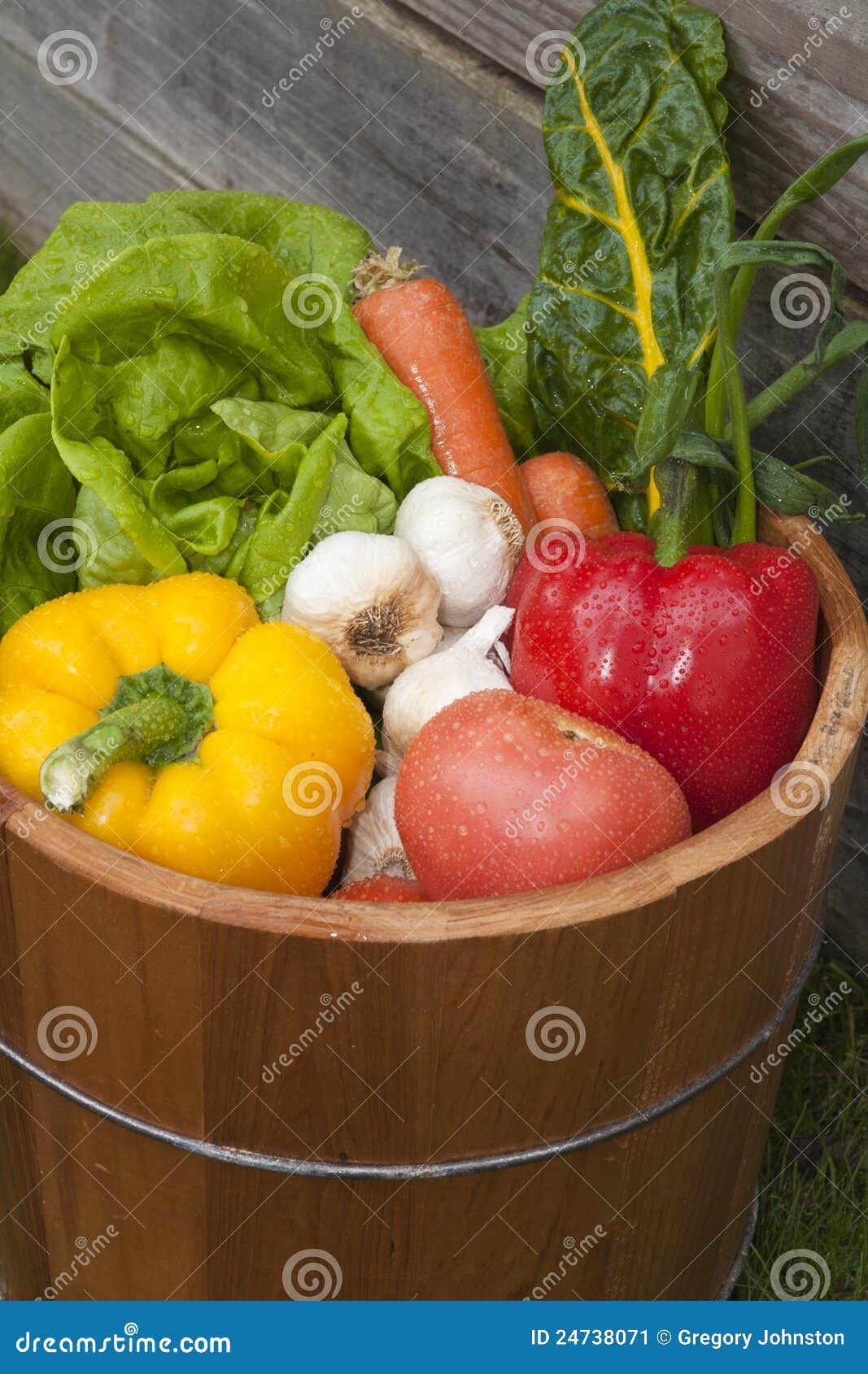 Assorted vegetables. stock image. Image of crop, garlic - 24738071