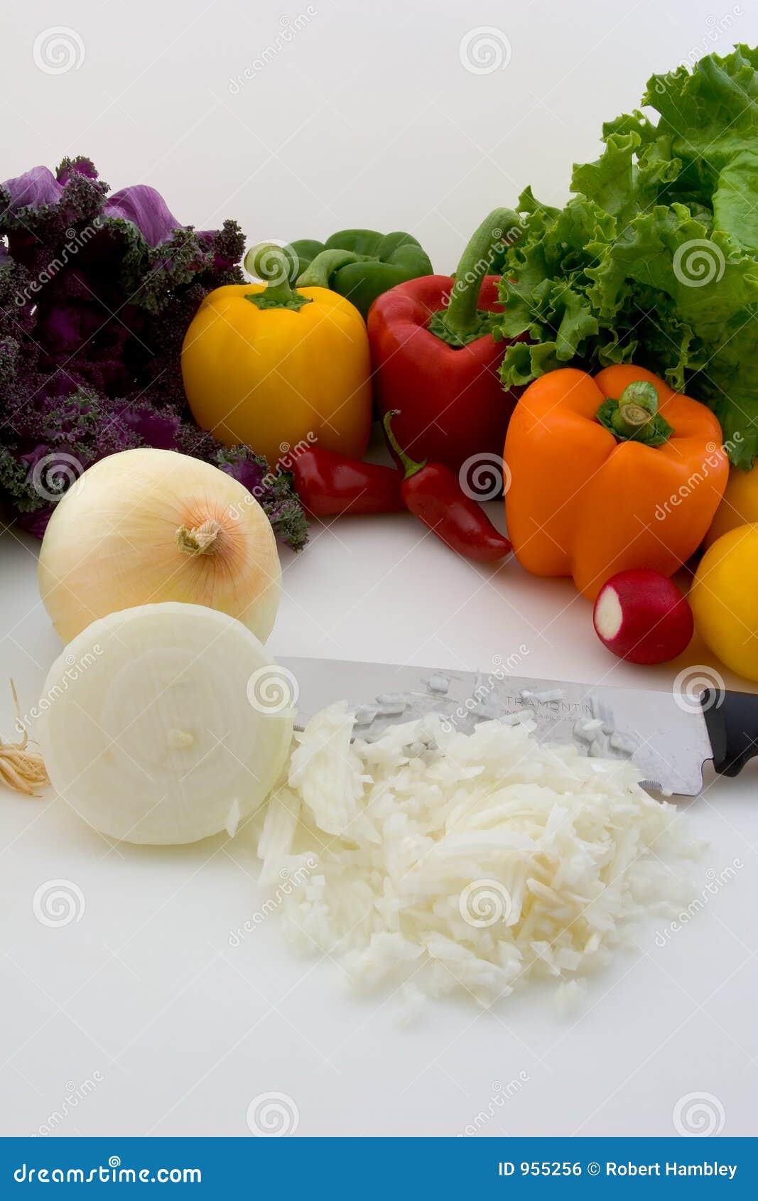 Assorted Vegetables stock photo. Image of natural, diced - 955256