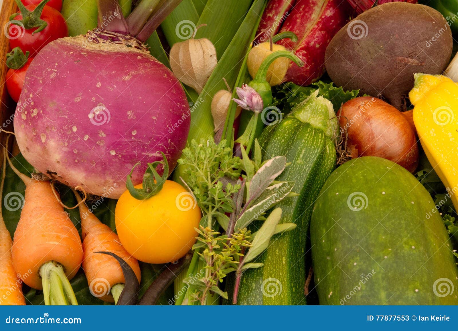 Assorted vegetables stock image. Image of carrot, produce - 77877553