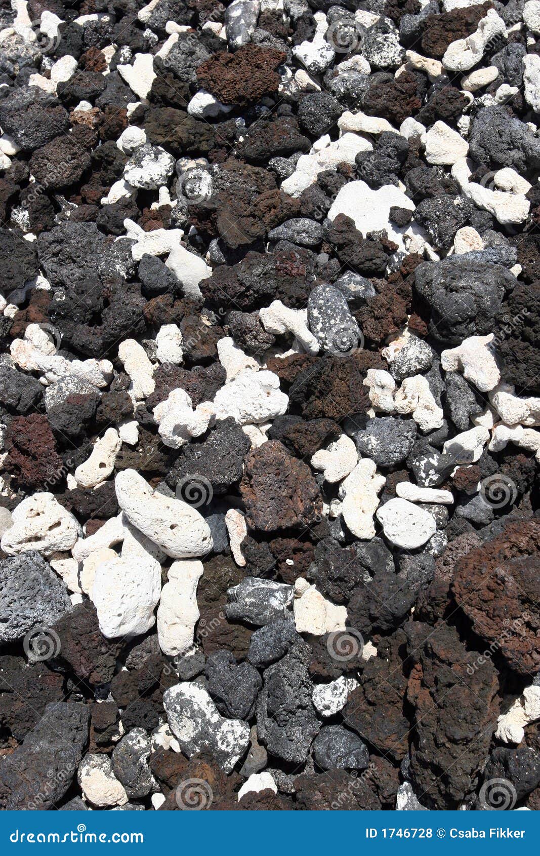 Assorted volcanic rocks stock photo. Image of pebbles - 1746728