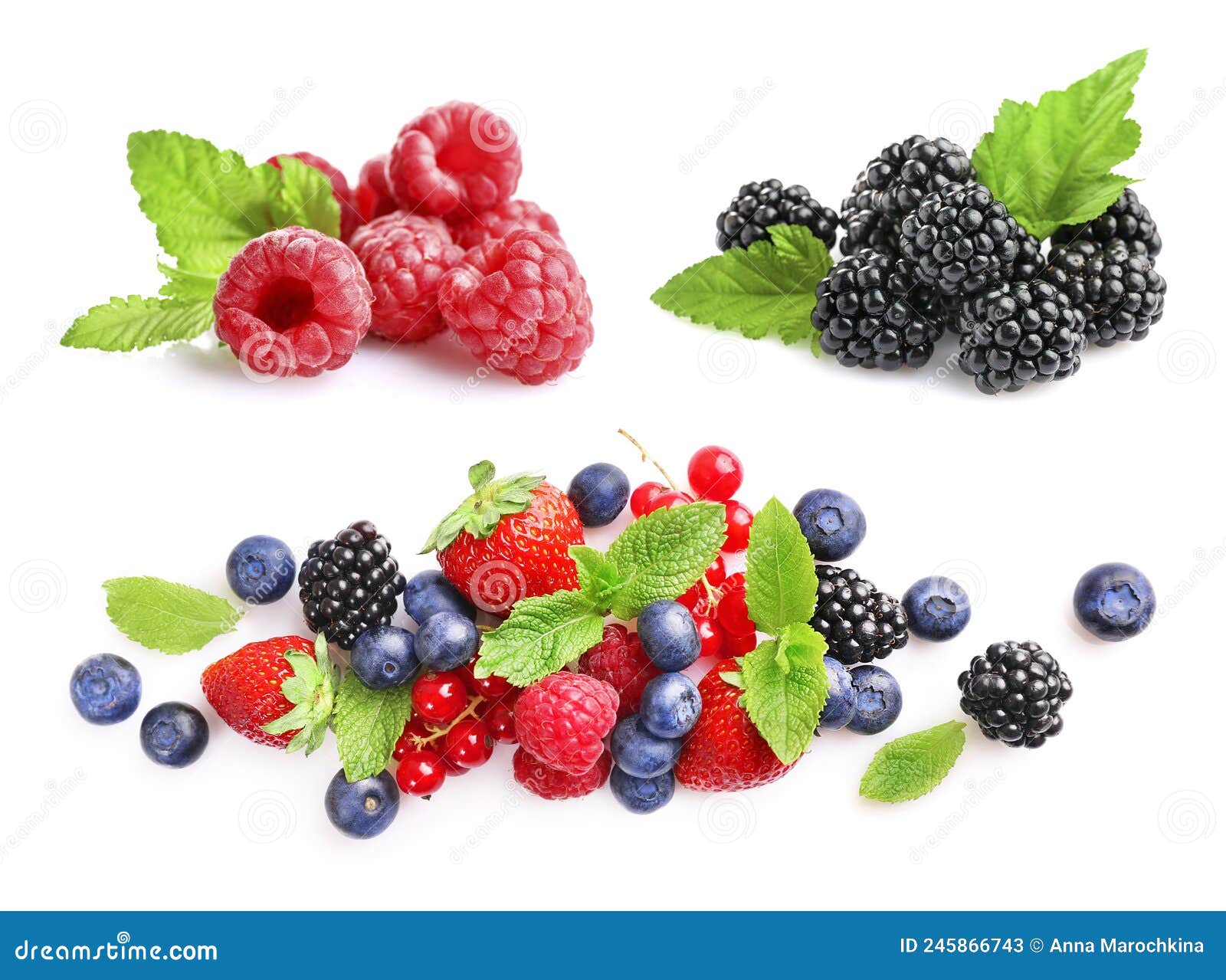 Assorted Wild Fresh Berries Pile Stock Image - Image of redcurrant ...