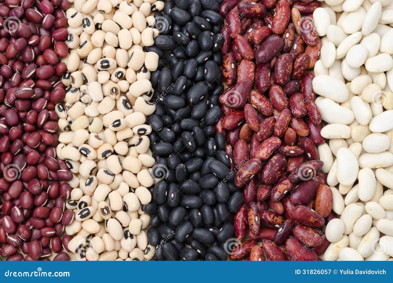 Assortiment De Différents Types De Haricots Horizontaux Image stock ...