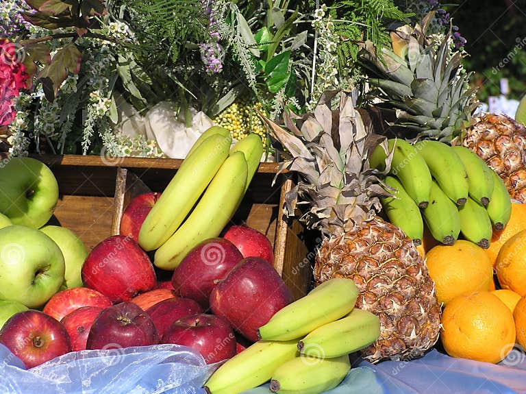 Assortiment de fruit image stock. Image du vert, assorti - 485957