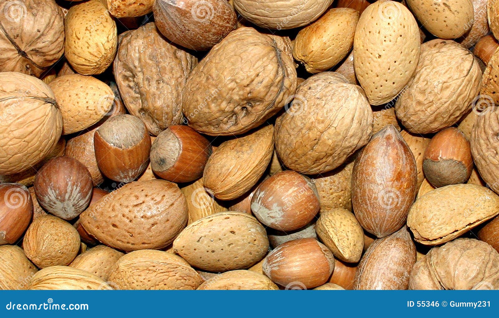 Assortiment de noix photo stock. Image du amandes, minerais - 55346