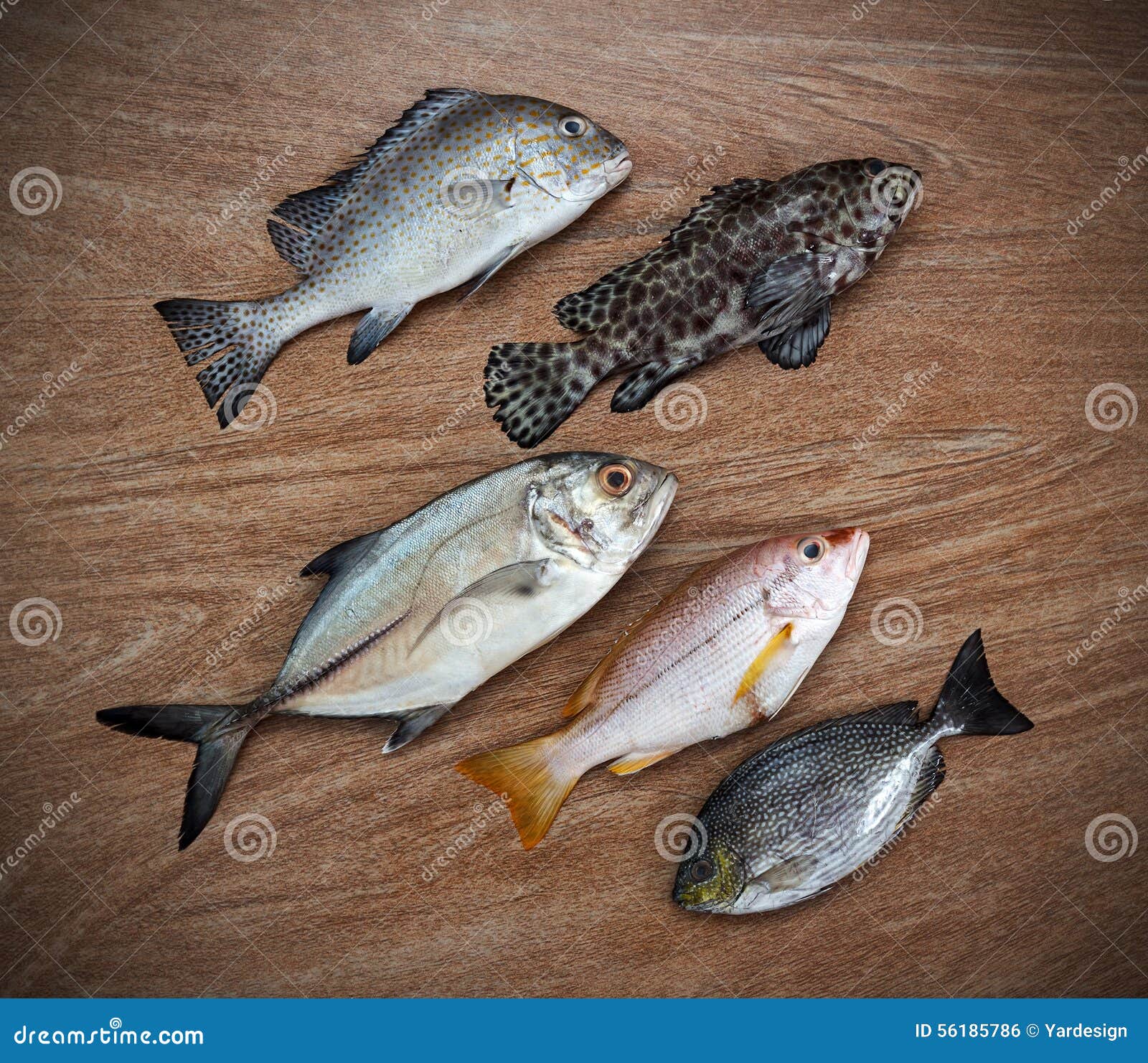 Assortiment De Poisson Frais Photo stock - Image du couleur, personne ...