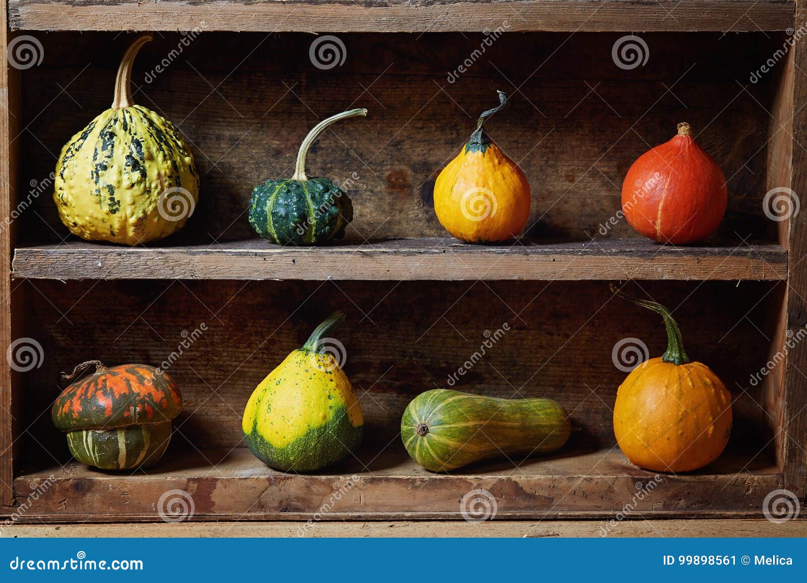 Assortiment Van Verschillende Decoratieve En Eetbare Pompoenen Stock ...