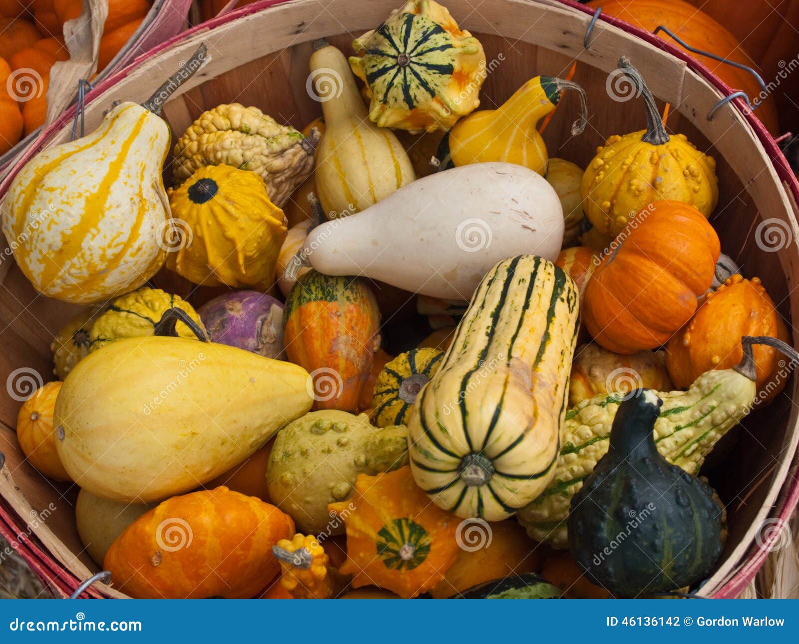 Assortment of Autumn Squash in a Bushel Basket Stock Photo - Image of ...