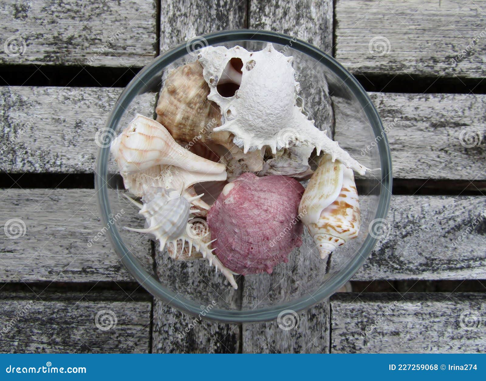 Assortment of Beautiful Shells in Empty Cognac Brandy Glass Stock Photo ...