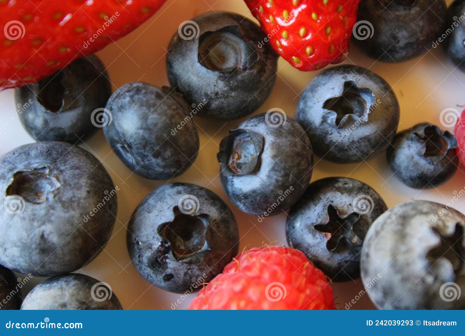 Assortment of berries stock image. Image of healthy - 242039293