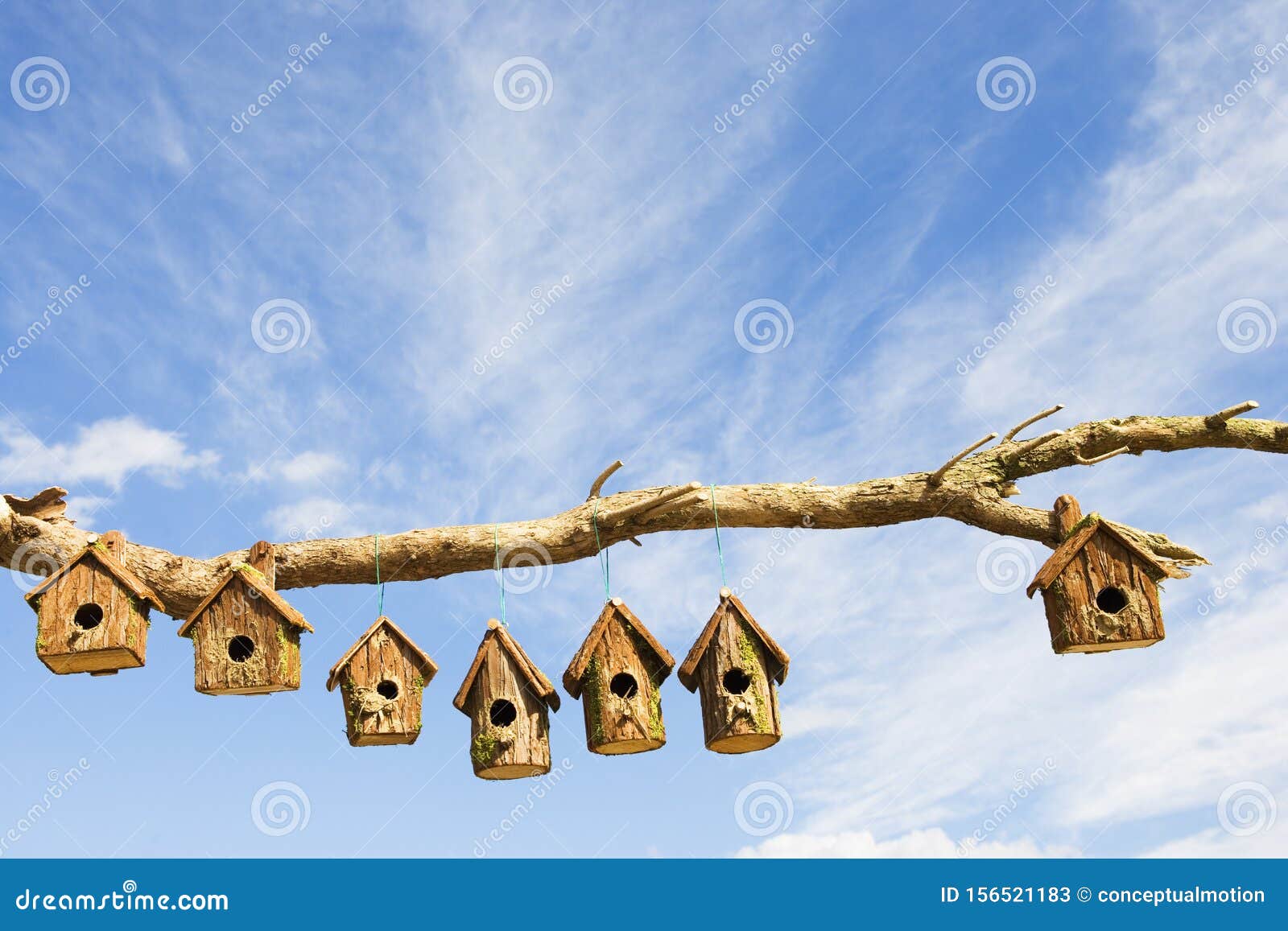 Bird Boxes Royalty-Free Stock Photo | CartoonDealer.com #19988211