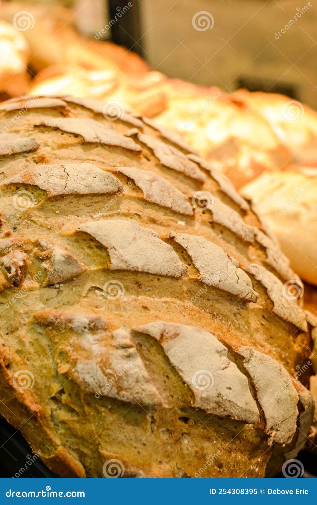 Assortment of Breads Close-up at the Bakery Stock Image - Image of ...