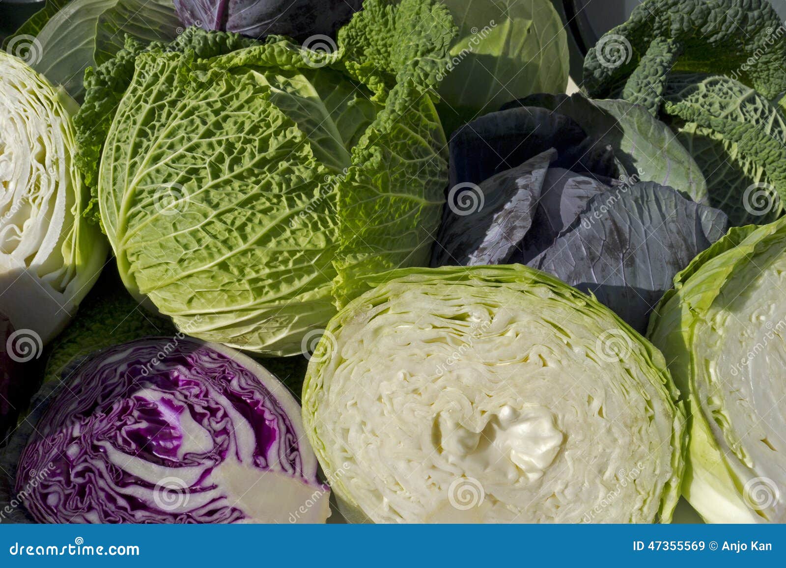 Assortment of cabbage stock image. Image of sprouts, variety - 47355569
