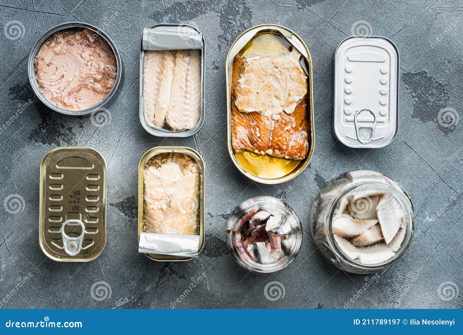 Assortment of Cans of Canned with Different Types of Fish, on Gray ...