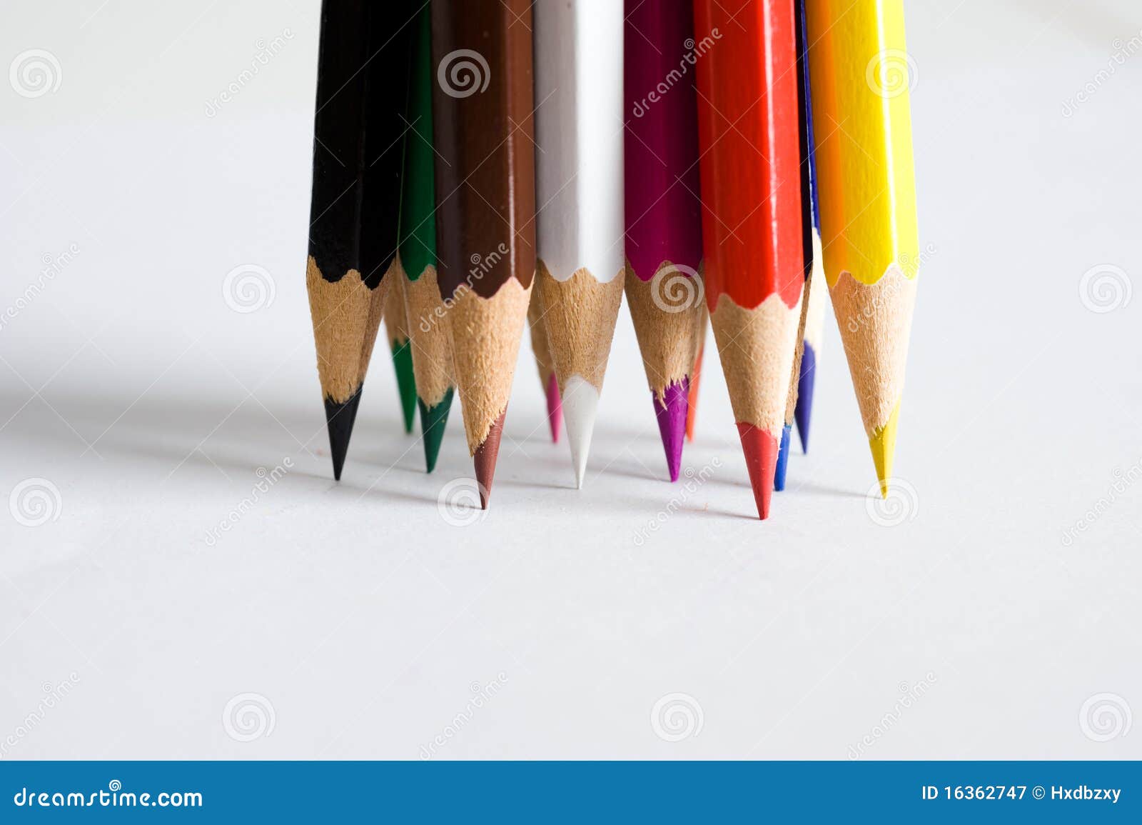 Assortment of Colored Pencils Stock Image - Image of aligned ...