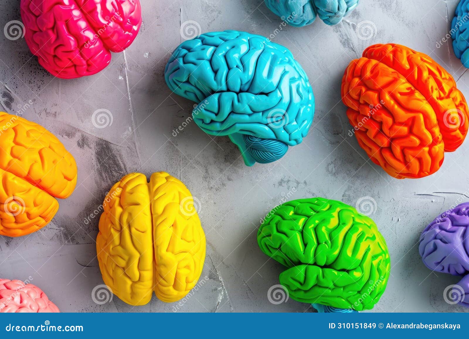 Assortment of Colorful Brain Models on a Grey Background, Diversity in ...