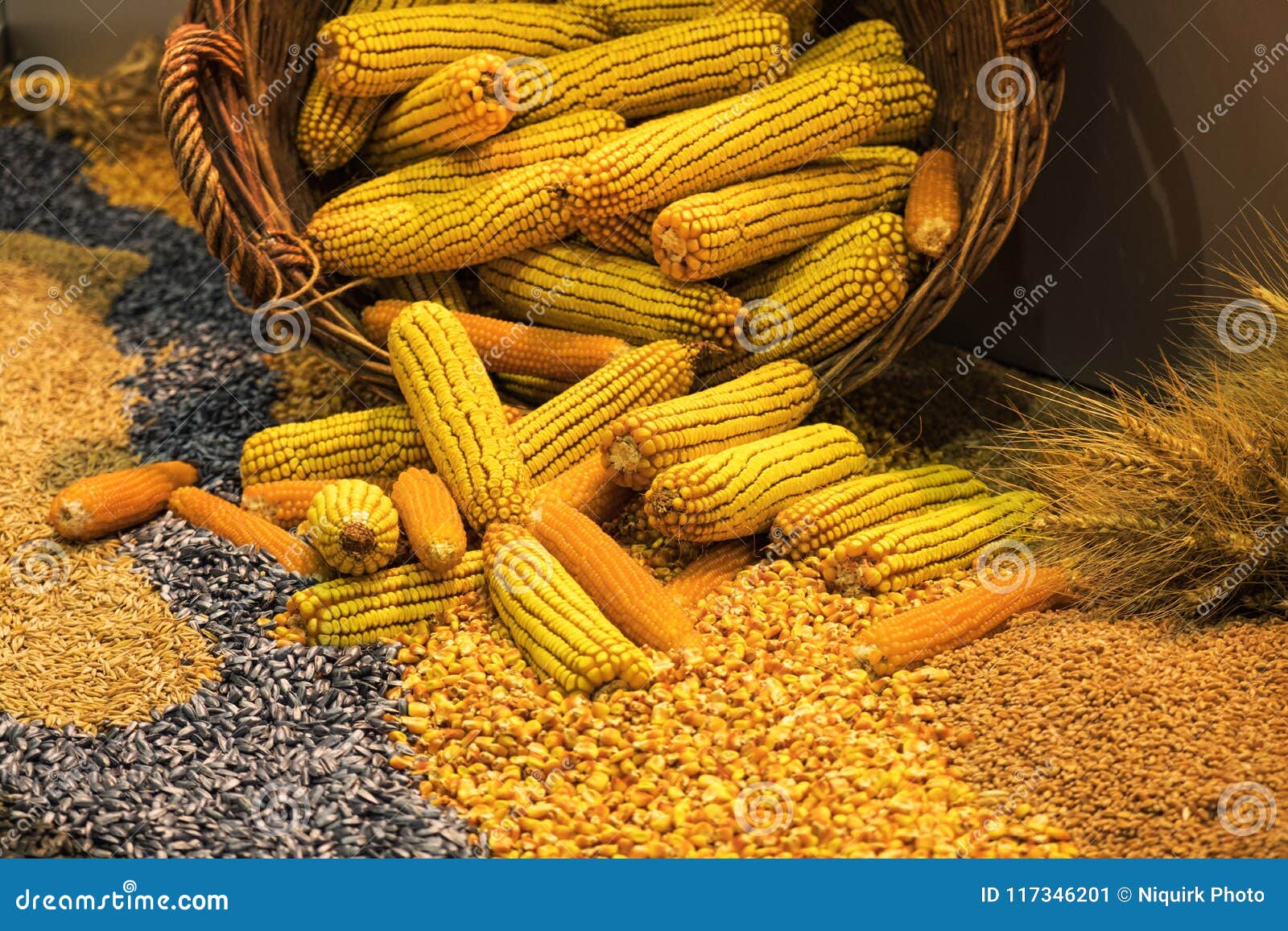 Assortment of Corn Kernels Arranged in Vicar Basket Stock Image - Image ...