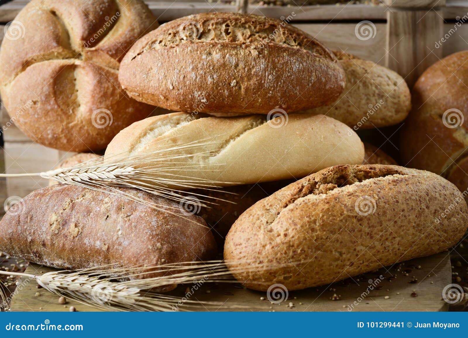 Assortment of Different Bread Rolls Stock Image - Image of nutritious ...
