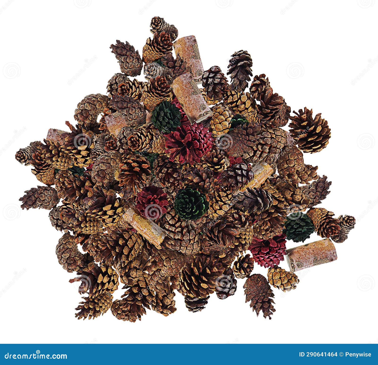 Assorted Pine cones stock photo. Image of assortment - 290641464