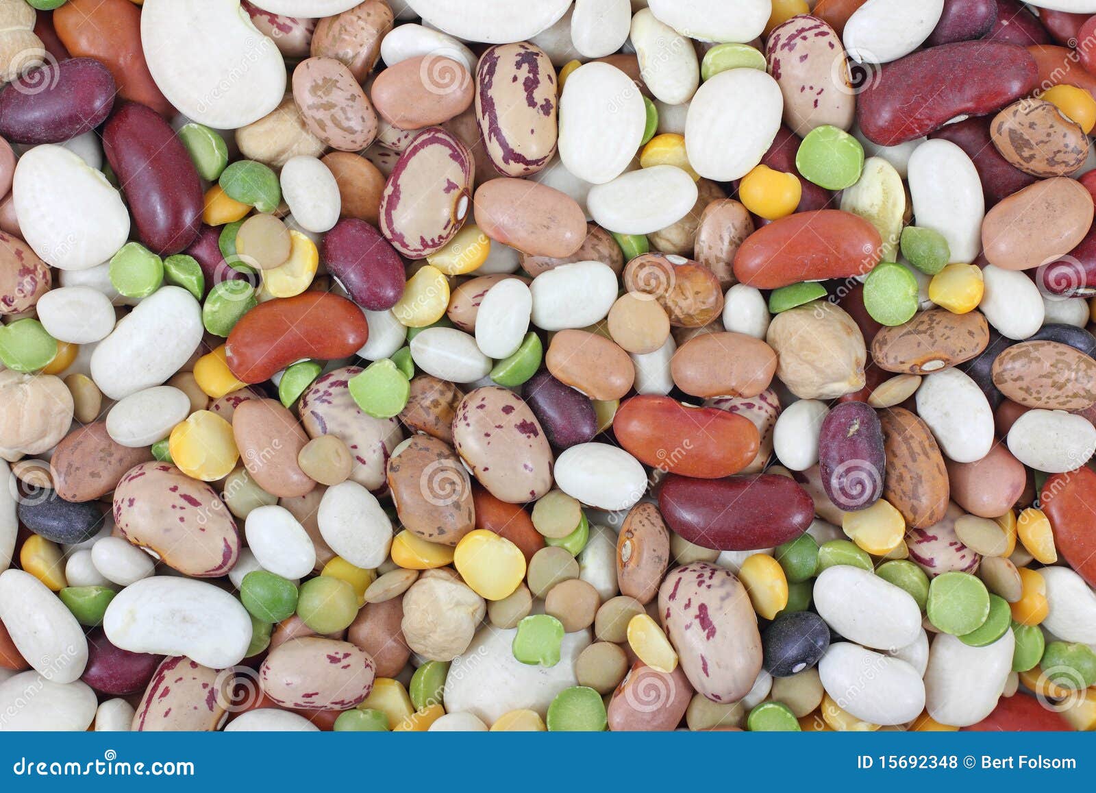 Assortment of dried beans stock photo. Image of kidney - 15692348