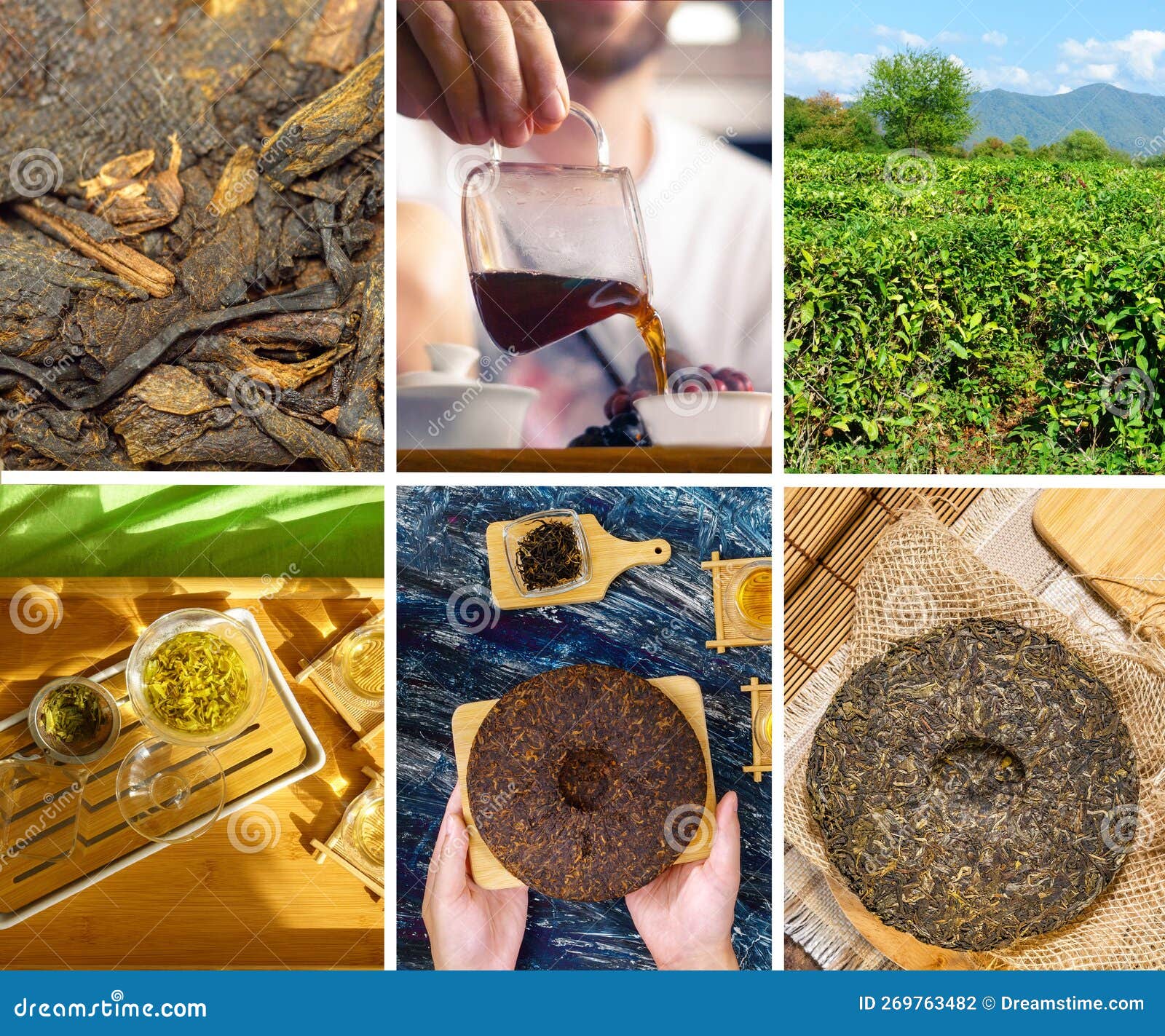 Assortment of Dry Tea Collage. Tea Composition with Different Kind of ...