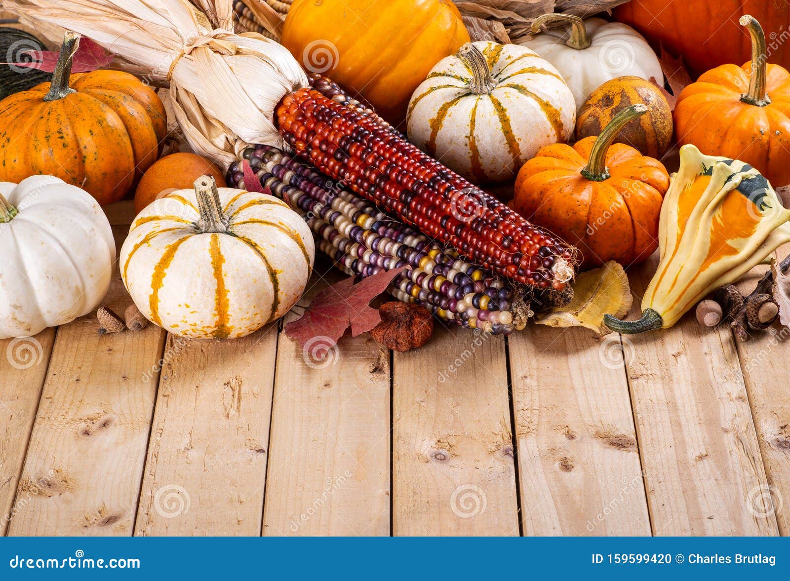 Assortment of Fall Pumpkins and Indian Corn Stock Photo - Image of ...