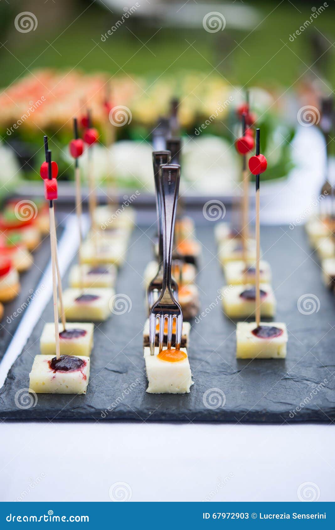 Assortment Festive Appetizers Stock Image - Image of festive, appetizer ...