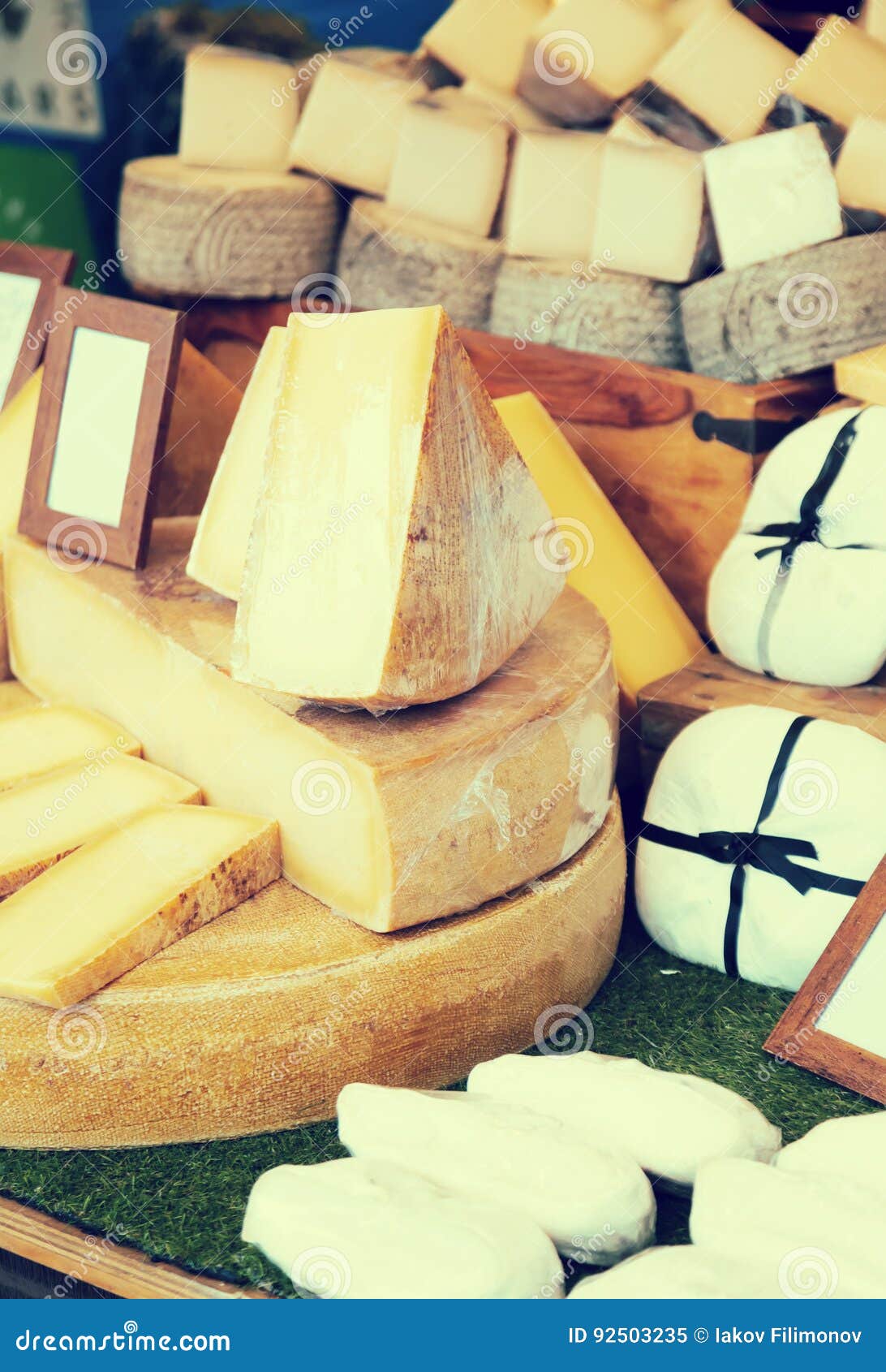 Assortment of Fresh Different Cheese Stock Image - Image of gourmet ...