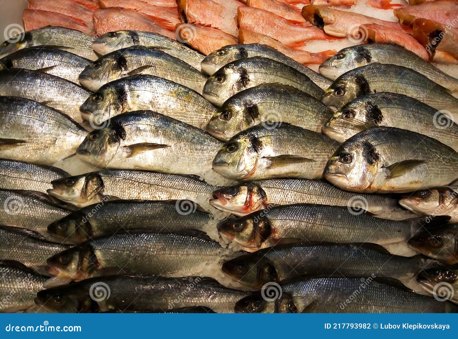 Assortment of Fresh Fish on the Counter in the Fish Store Stock Photo ...