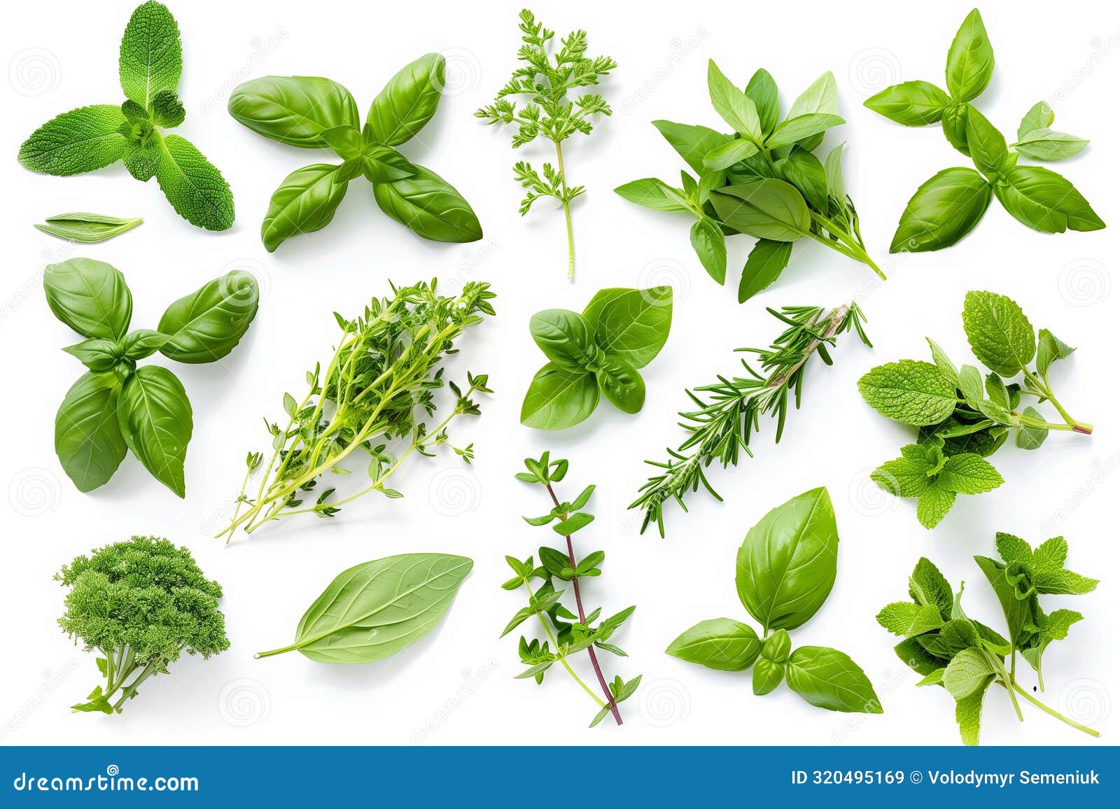 Spices Pattern. Seamless Print With Indian Herbal Tea Ingredients ...