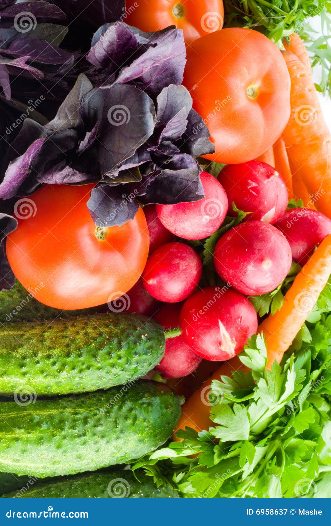 Assortment of Fresh Vegetables Stock Image - Image of grass, diet: 6958637