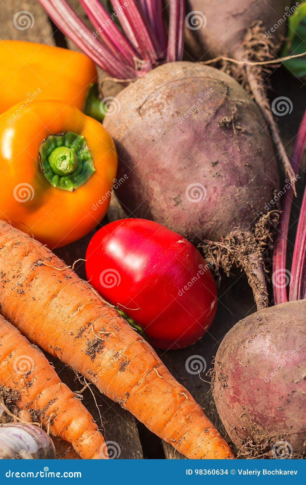 Assortment of Fresh Vegetables Close Up Stock Photo - Image of green ...