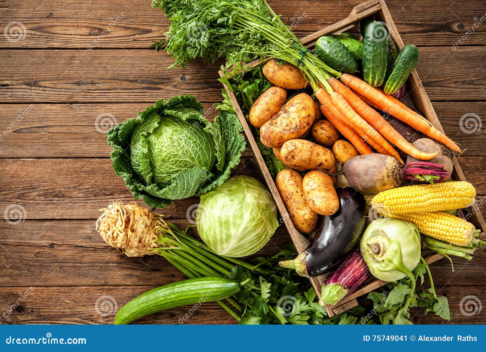 Assortment of Fresh Vegetables Stock Image - Image of fennel, garlic ...