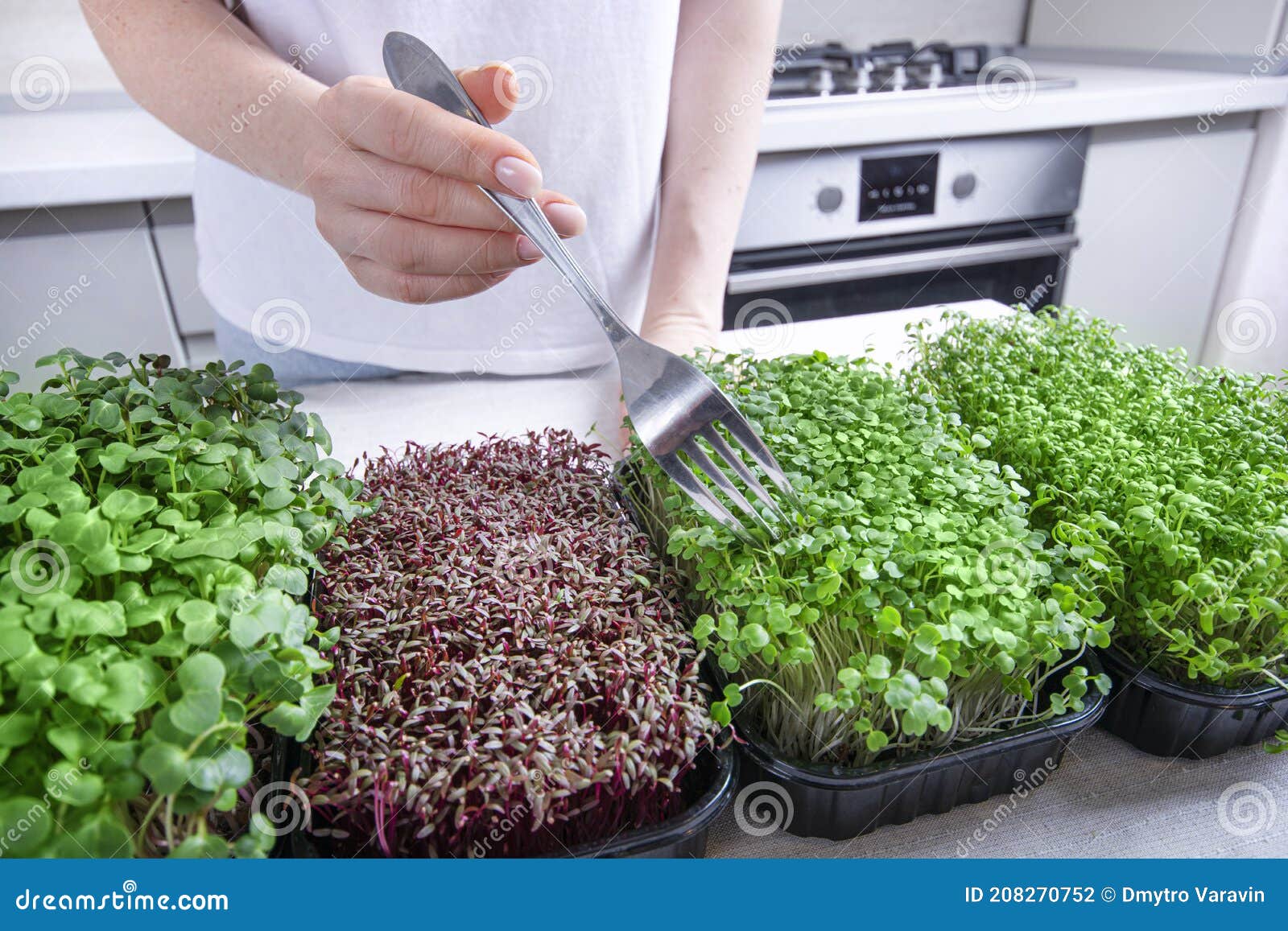 Assortment of Microgreens Standing on the Modern Kitchen Table. Stock ...