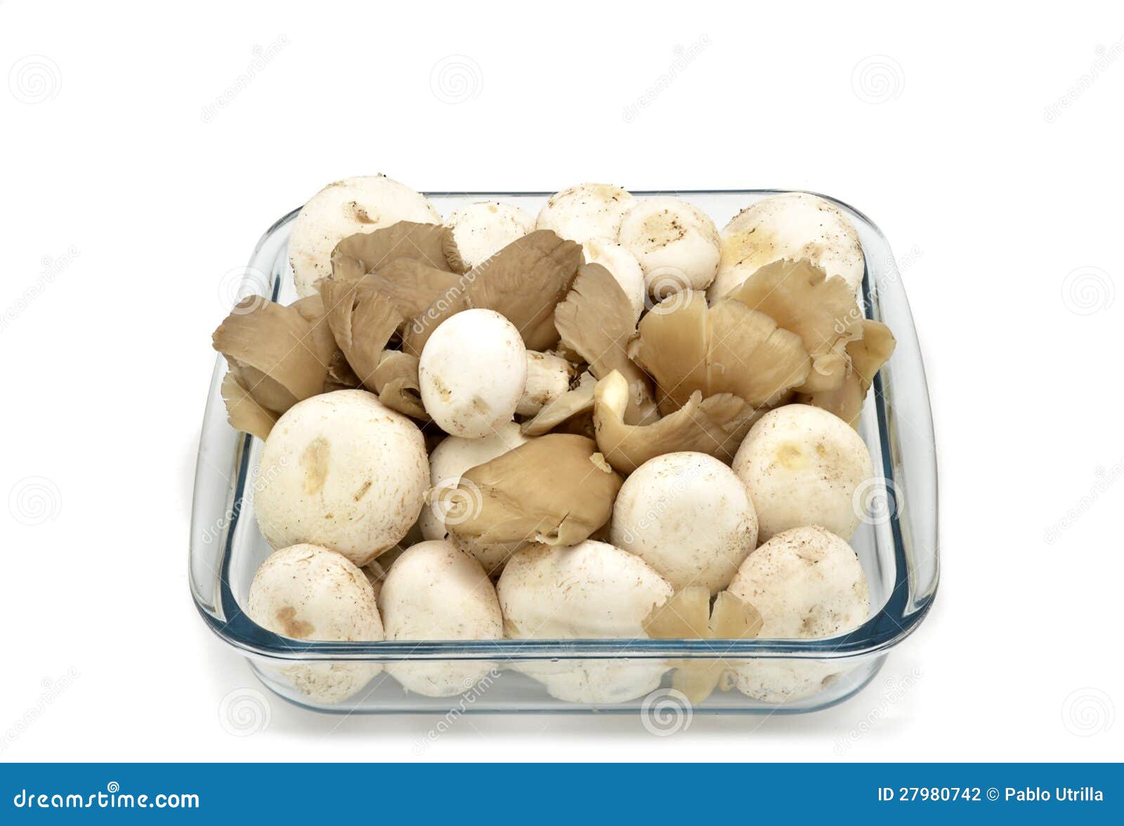 Assortment of mushrooms stock photo. Image of fresh, nature - 27980742