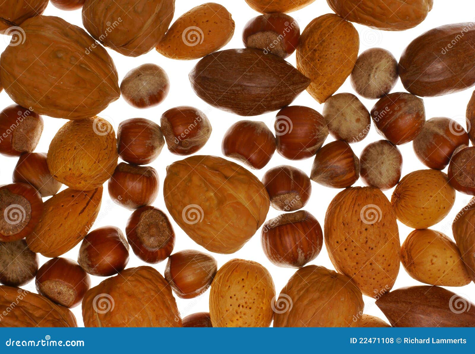Assortment of nuts stock photo. Image of dried, food - 22471108
